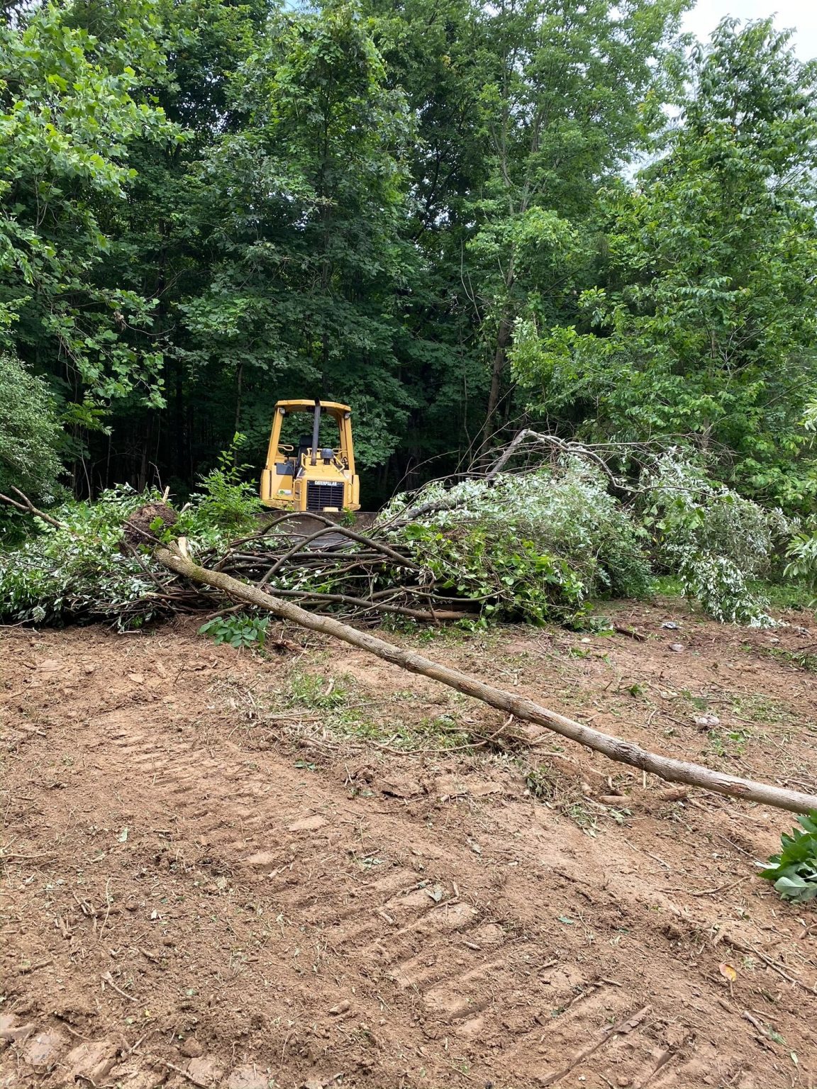 Land Clearing/Forestry Mulching - Orschell Excavating